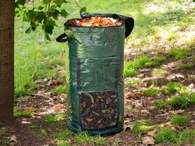 compost bin nz