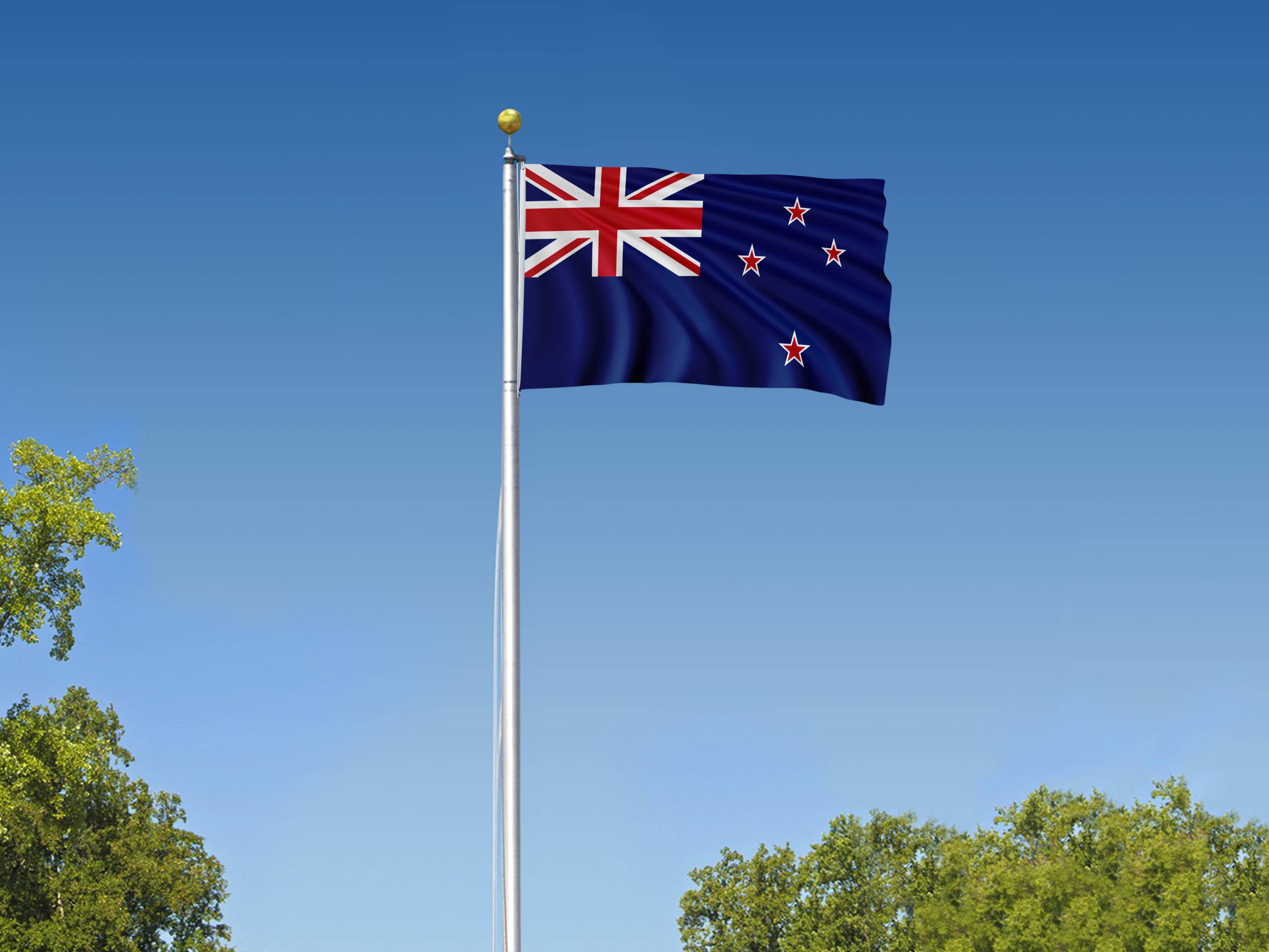 Flagpole Sectional 6m - Flag Poles - Outdoor Decor - Home & Outdoor ...