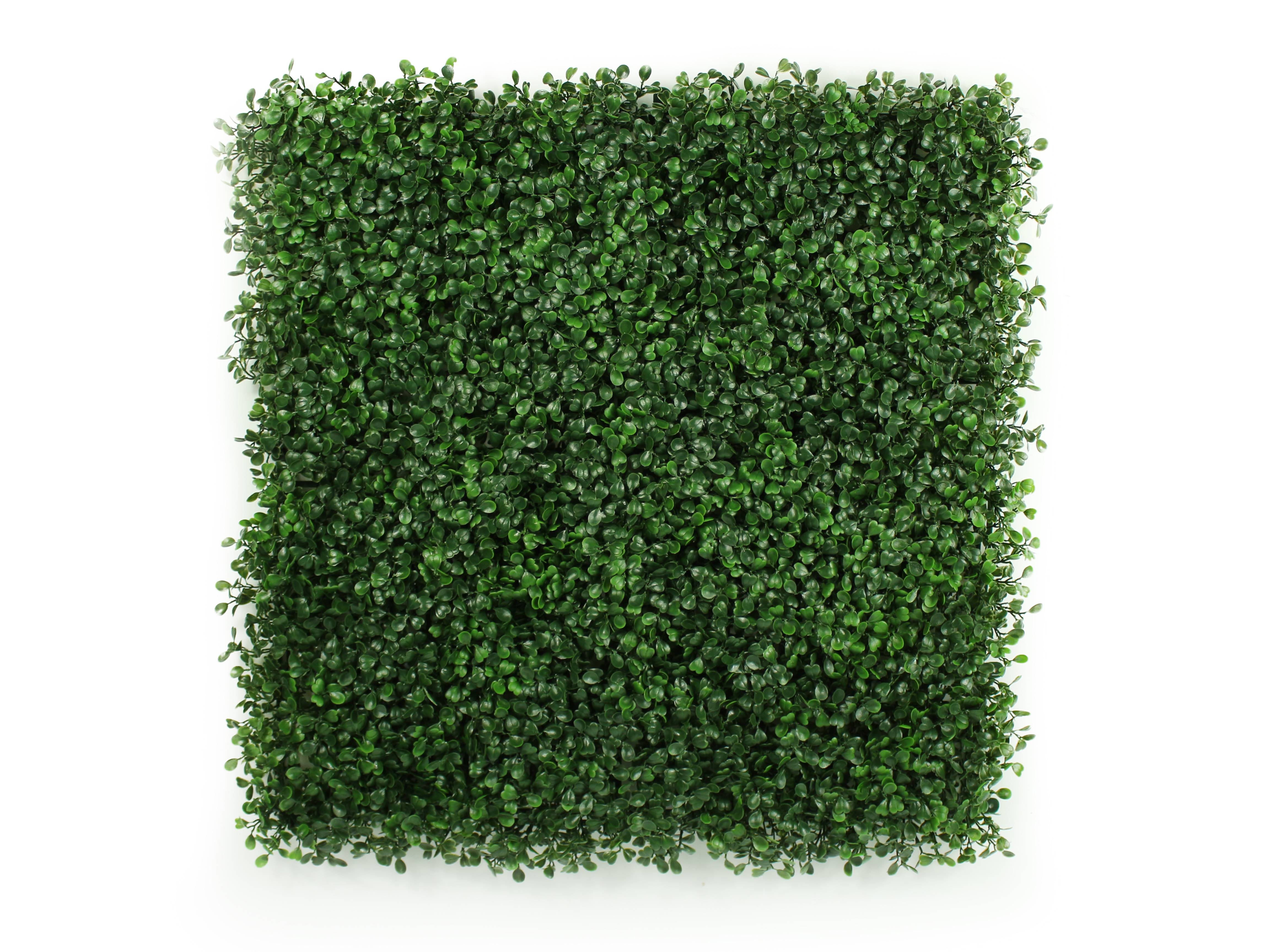 Artificial Hedge Wall Creeping Fuschia 3m² - Artificial Hedge & Green ...