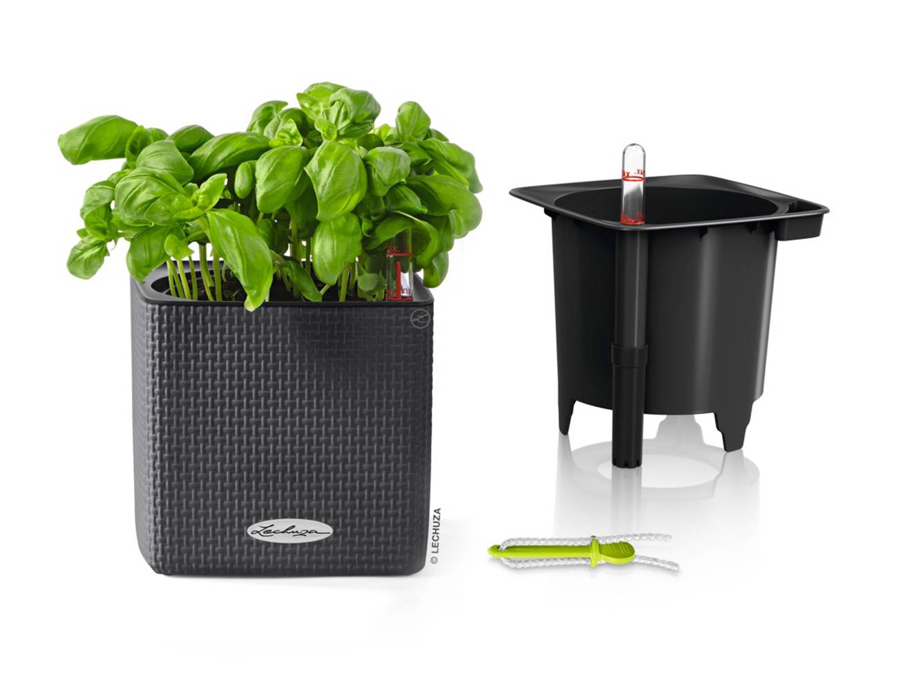 Lechuza Cube Planter Colour 14 - Slate - Pots - Pots & Planters ...